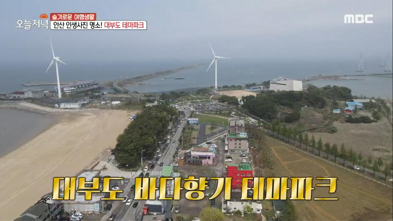 2016회 1 오감만족 안산여행 가족 여행지를 찾아라 2 가정의 달 특집 가족과 함께 하는 차박 여행 Best 3 3 자연인이 된 도시 남자의 시골 적응기 4