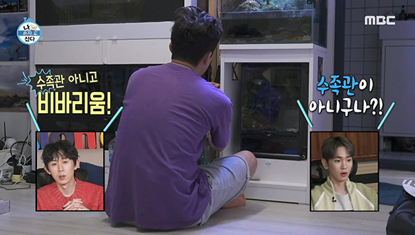 Mbc가 자랑하는 친환경 아나운서 김대호의 집을 소개합니다 Feat 비바리움 핫클립 나 혼자 산다